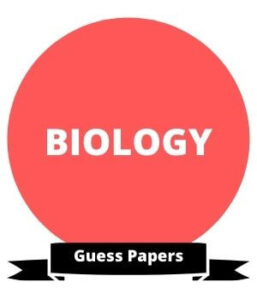 10th Class Guess Papers 2025 of All Subjects - Ustad360