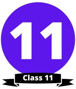 Sindh Textbooks PDF for Class 1 to 12 of All Subjects - Ustad360